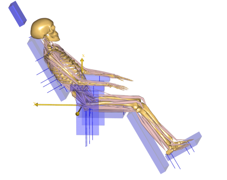 The AnyBody Managed Model Repository - AnyBody Technology