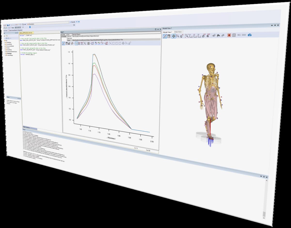 Biomechanical software, simulation, joint