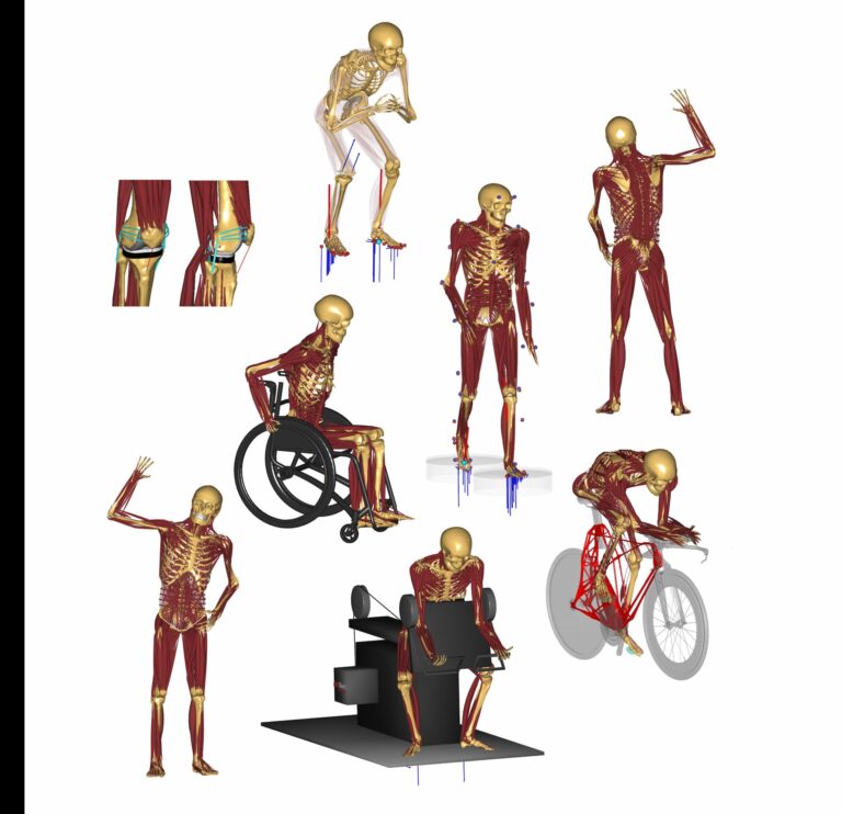 Digital human modeling, simulation, software