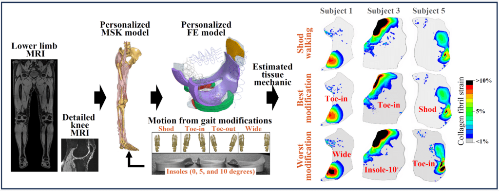 In silico approach for personalized gait modification to decelerate ...